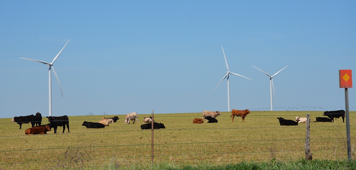Texas and agriculture are a perfect fit