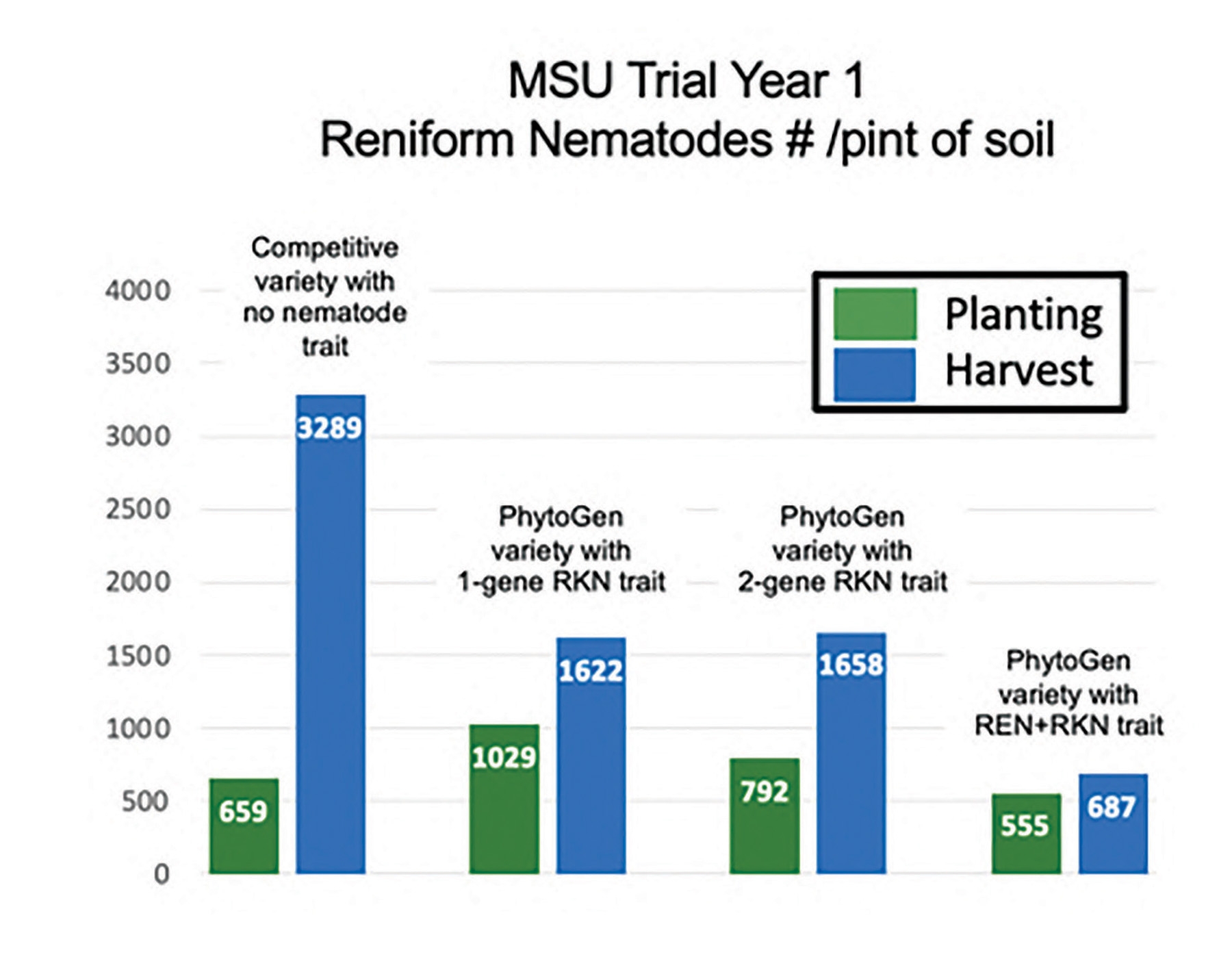 PhytoGen's 2026 cottonseed varieties accel in trials