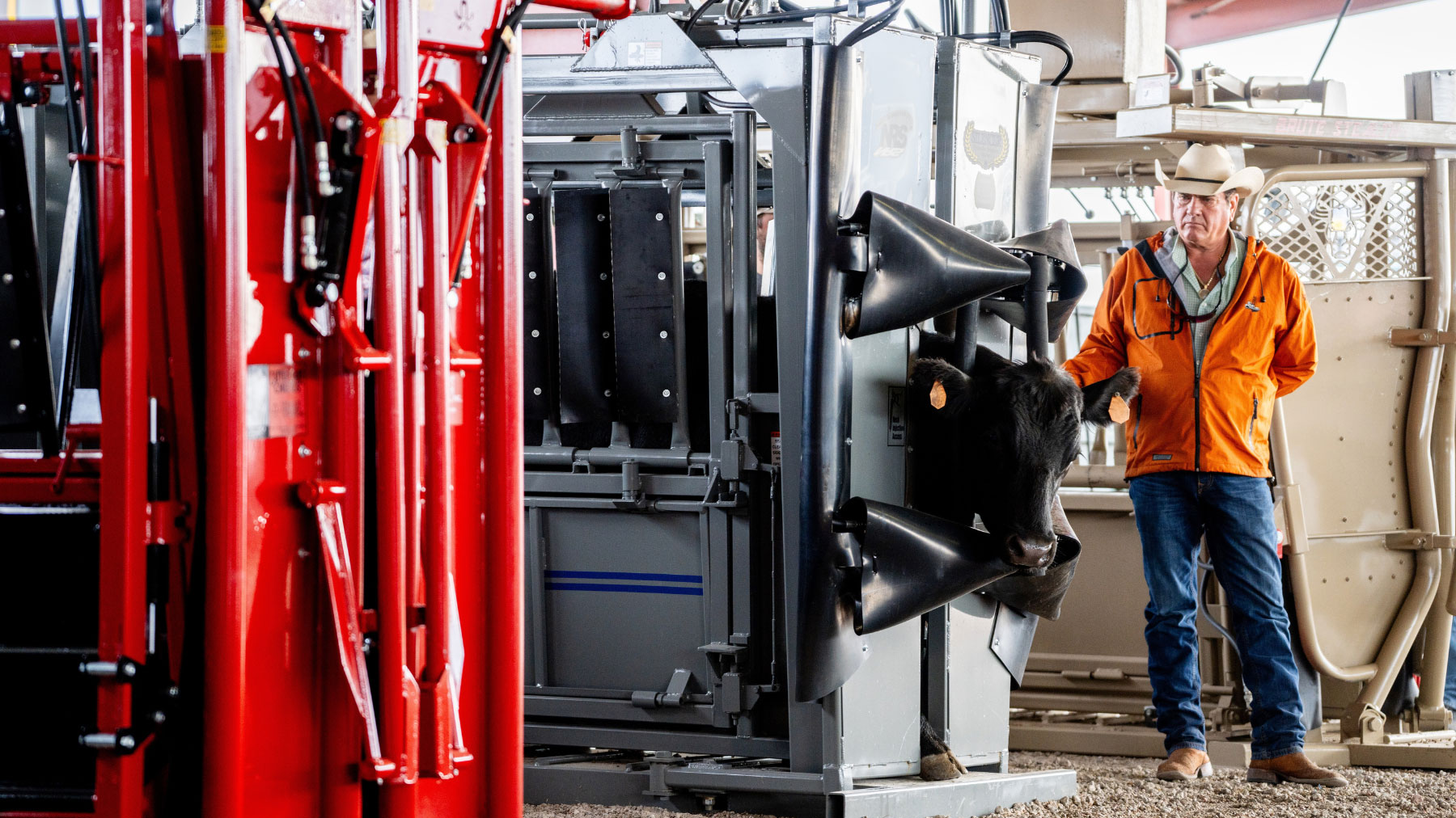 BEEF Showcase returns to Husker Harvest Days 2025 with must-attend ...