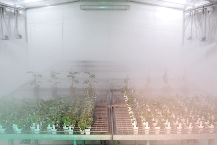 A walk-through at Syngenta headquarters in Basel, Switzerland | Farm ...