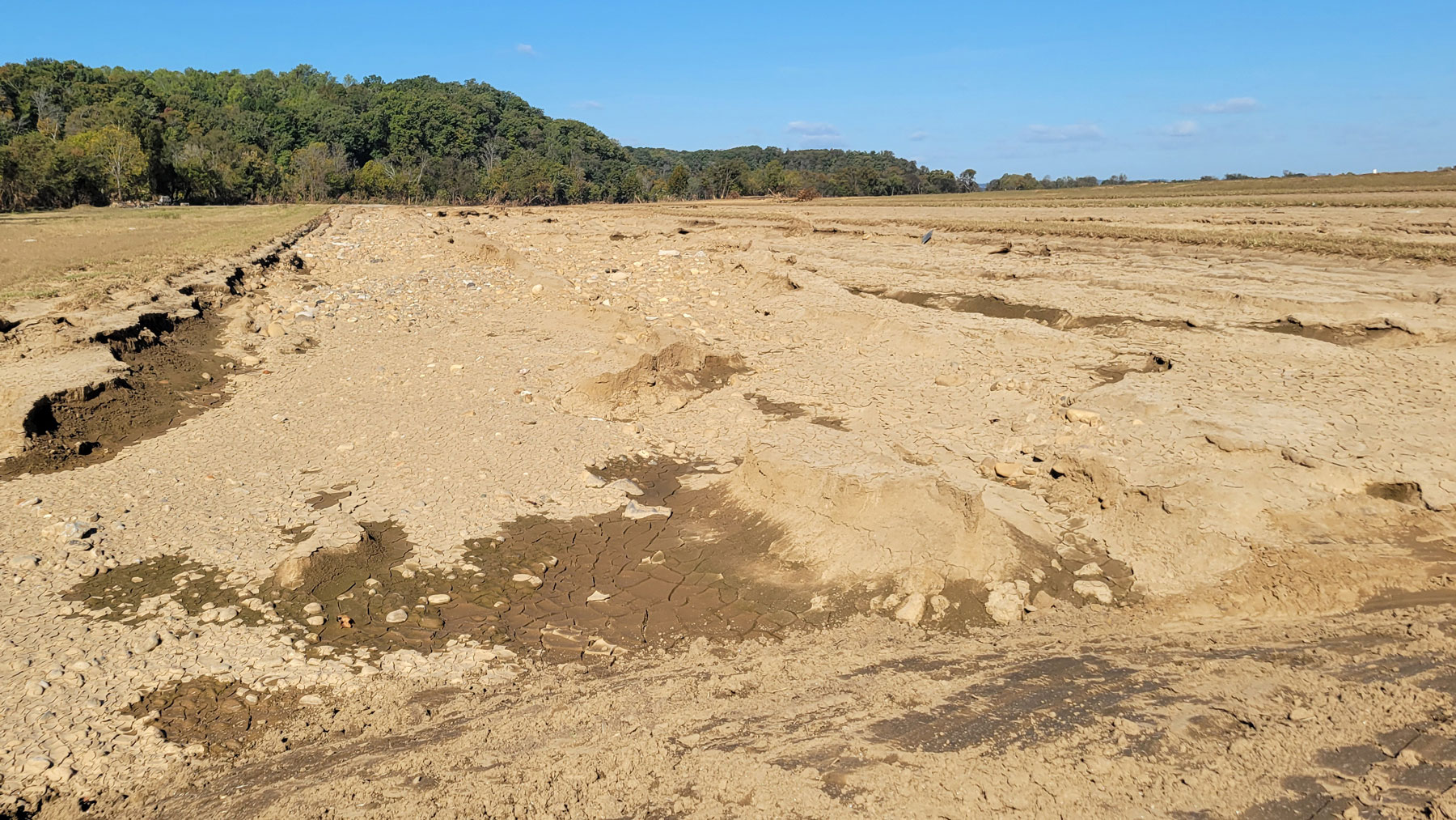 Hurricane Helene took $1 billion-plus from Tennessee ag