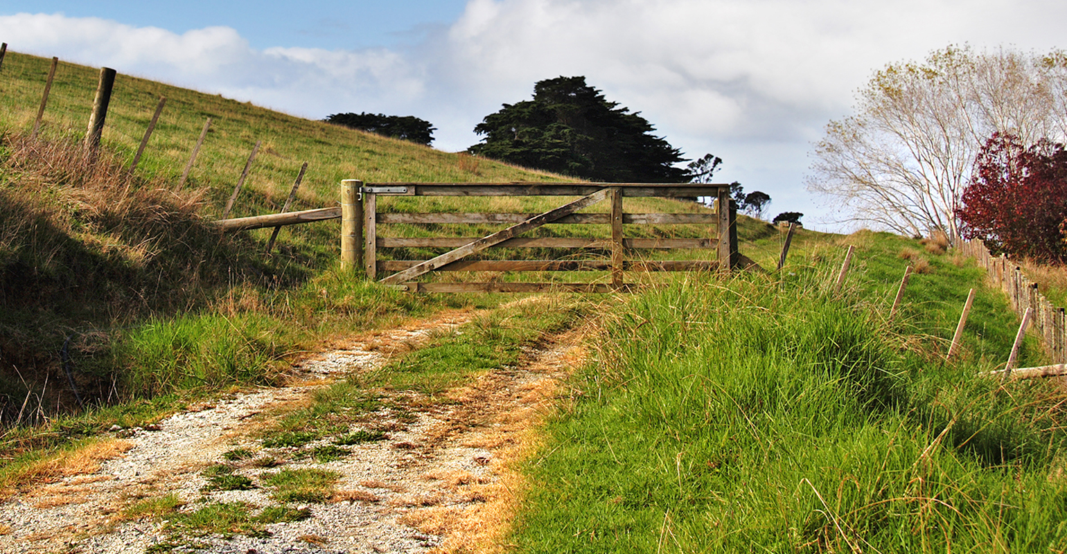4 ways to divide the farm