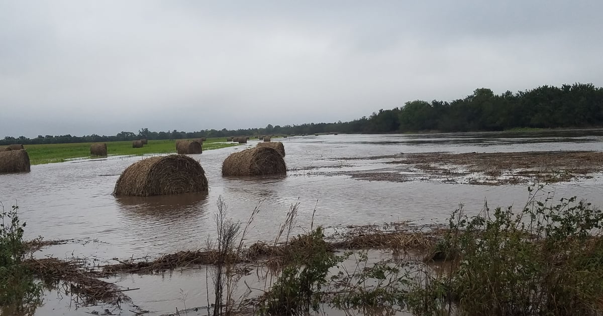 Fall downpours inundate fields, flood rivers and streams | Farm Progress