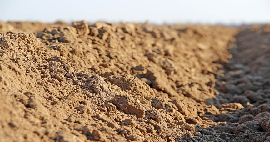 Farm’s Nazi past still fresh for slave workers | Farm Progress