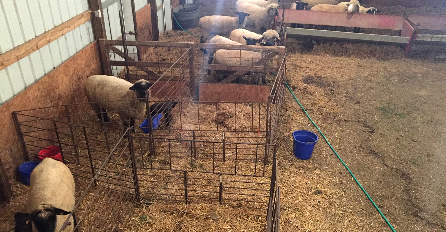 What does hard work smell like?