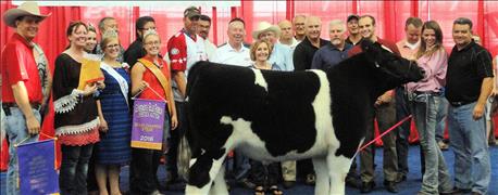 Wisconsin State Fair grand champion steer sells for $52,500