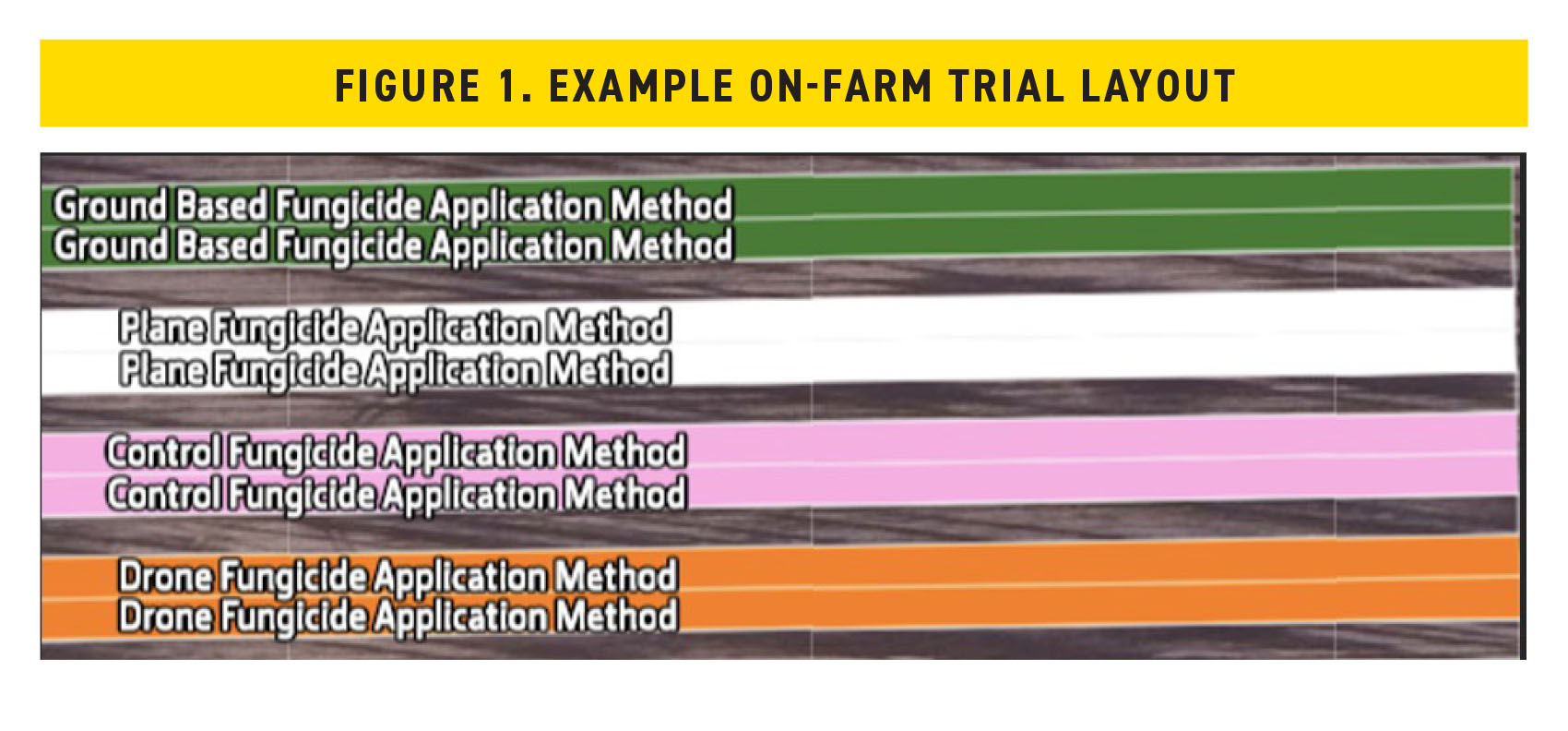 Fungicide Applications: Drones vs. Traditional