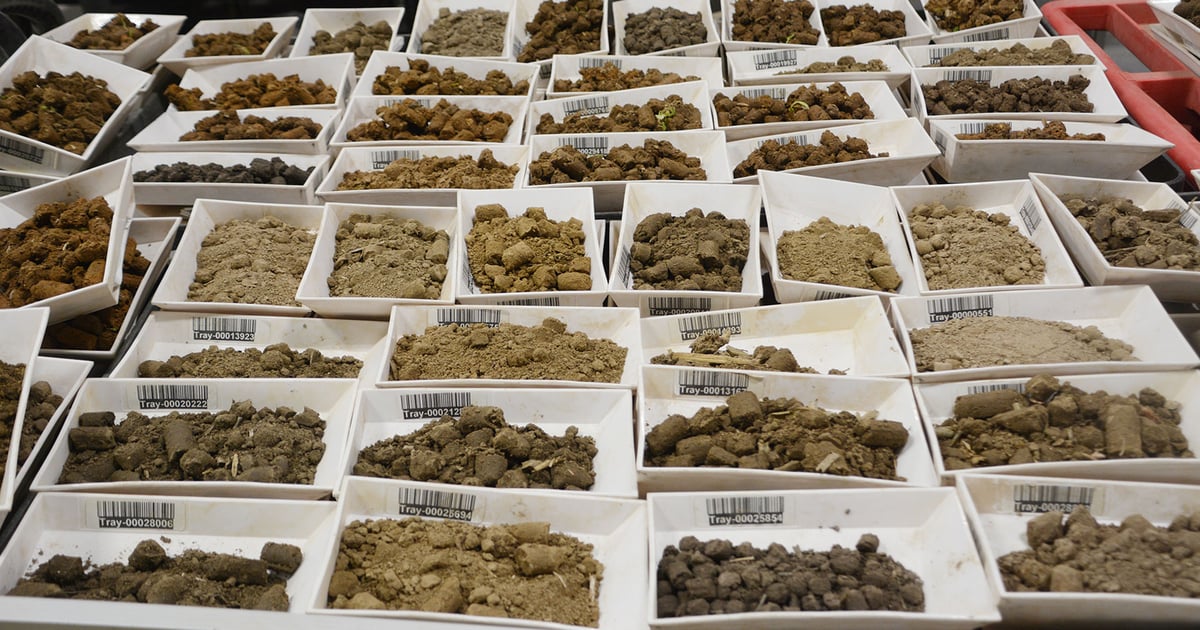Soils lab visit reveals 3 lessons about sampling, testing