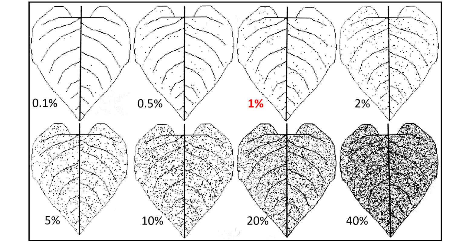 Prepare for sunflower rust