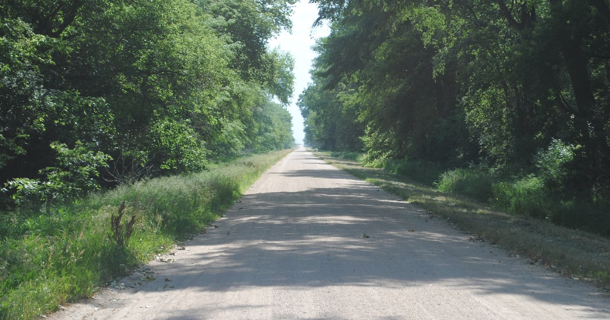Unsurpassed conservation program crucial in ‘Tree Planters State’
