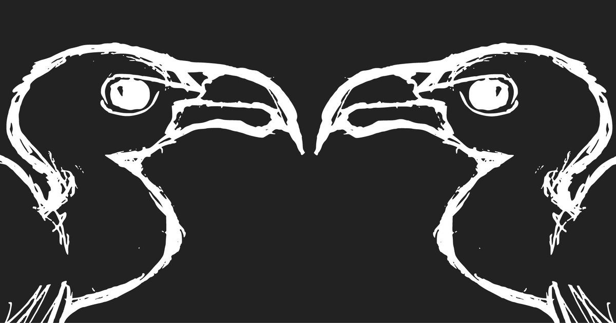 What’s difference between turkey, black vultures?