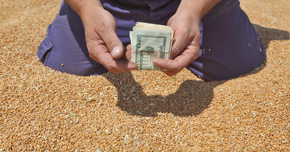 Grain marketing how-to