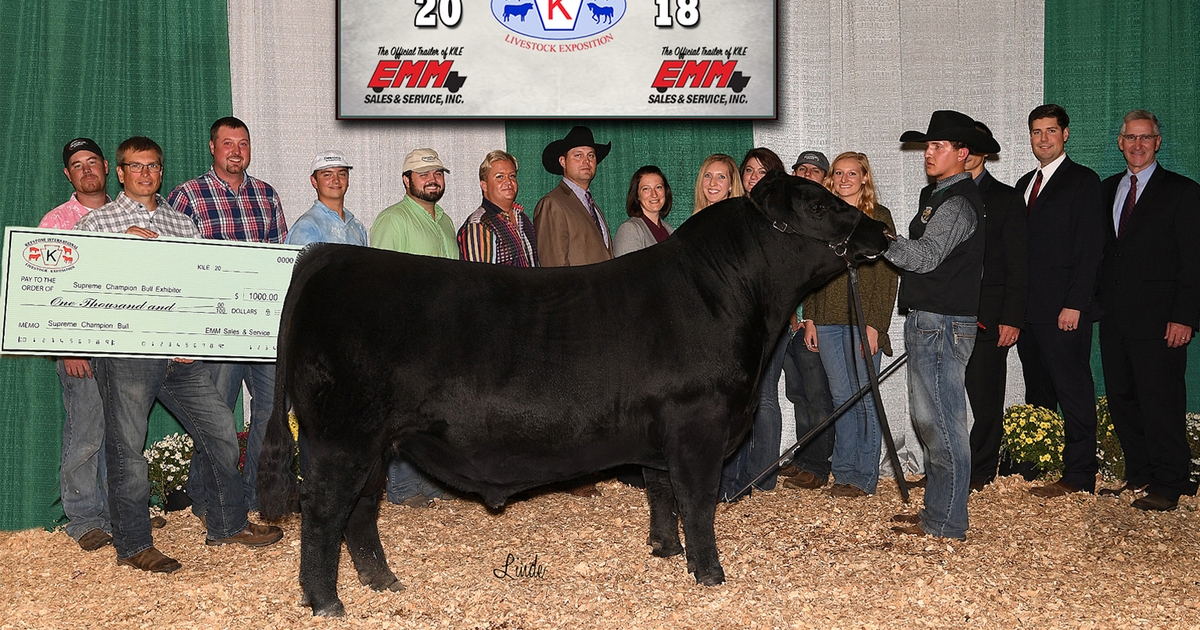 Maryland Angus bull is supreme at KILE