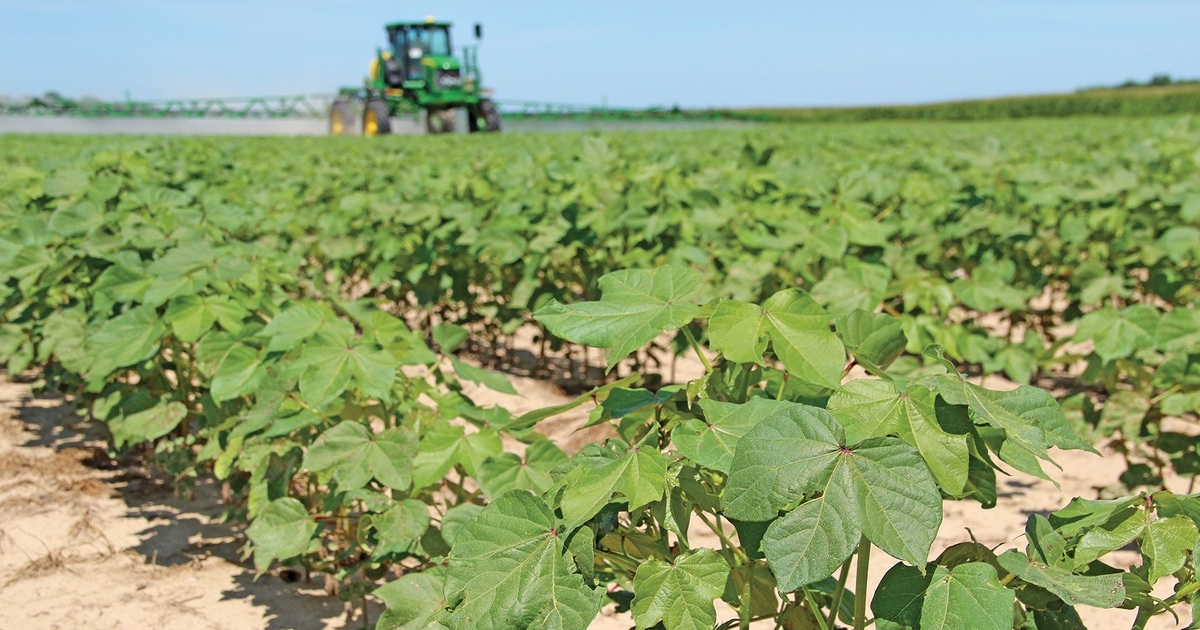 Strategic liquid fertilizer boosts crop yields