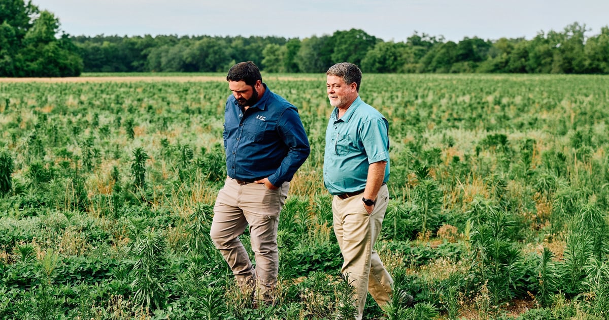 Turning Idle Acres into Reliable Income