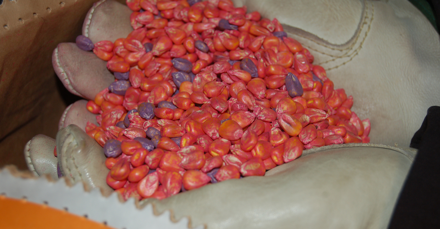 Corteva Agriscience reveals seed company lineup