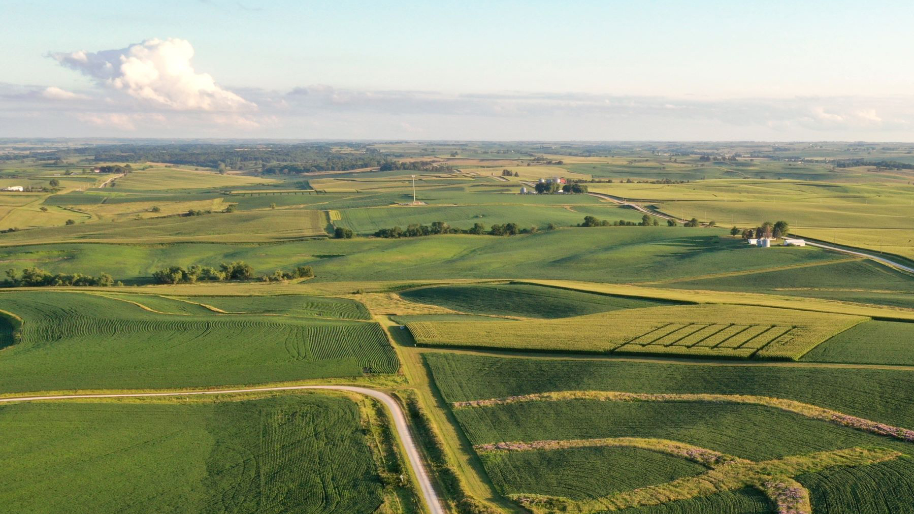 Experience the prairie at Iowa State University’s STRIPS exhibit
