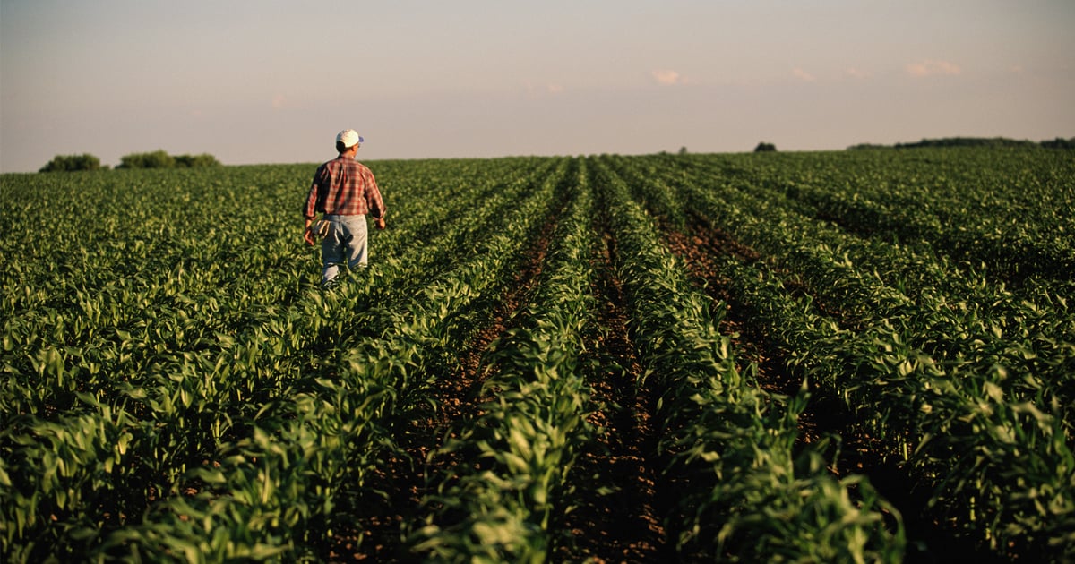 How to manage farm through good times and bad