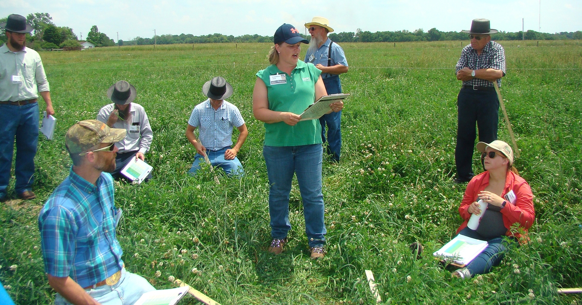 Improve pasture management with good paddock design