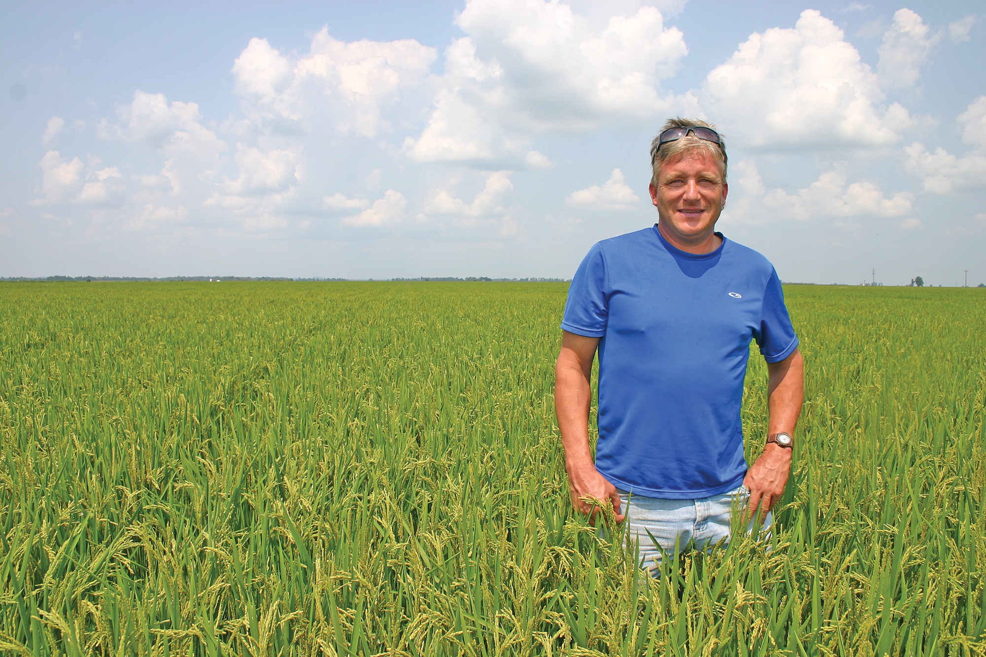 No levees, no diesel: How one Arkansas farmer grows rice