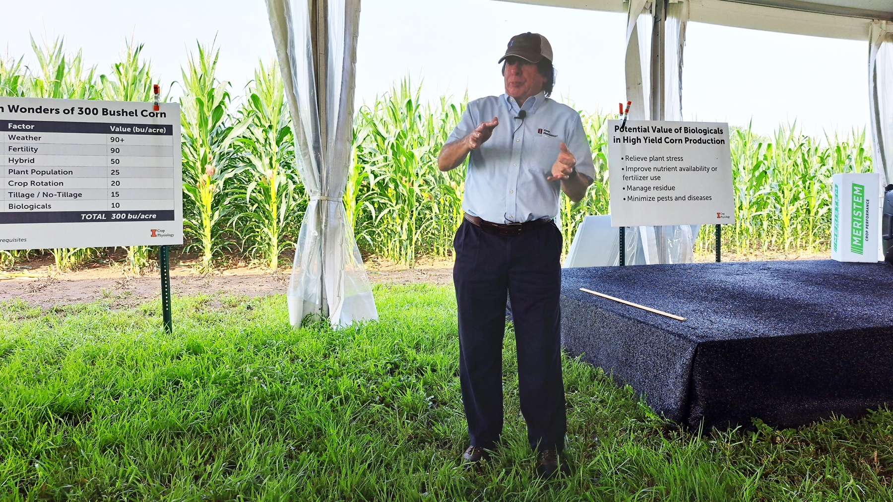 7 corn yield factors: Weather, fertility lead pack