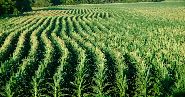 Agrisure Duracade approved for use in European Union