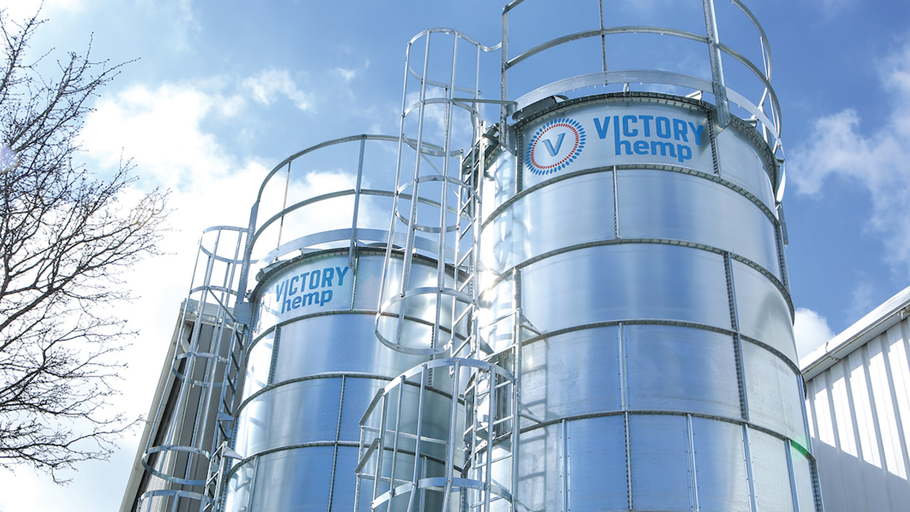 Hemp emerges as viable grain crop alternative