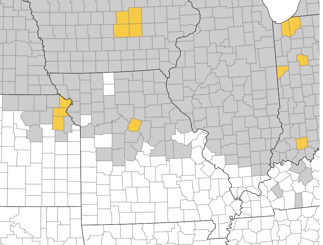 Tar spot shows up in Missouri corn crops
