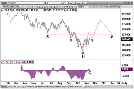 Cattle charts and fundamental storming up