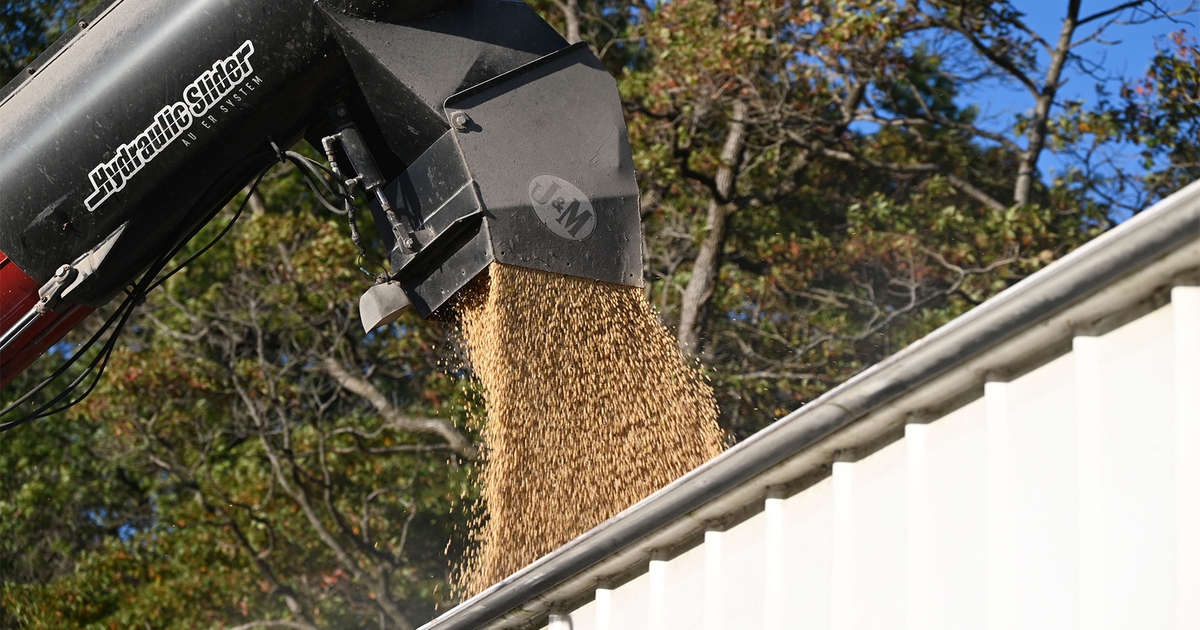 Neutral price ratio guides 2026 crop choices