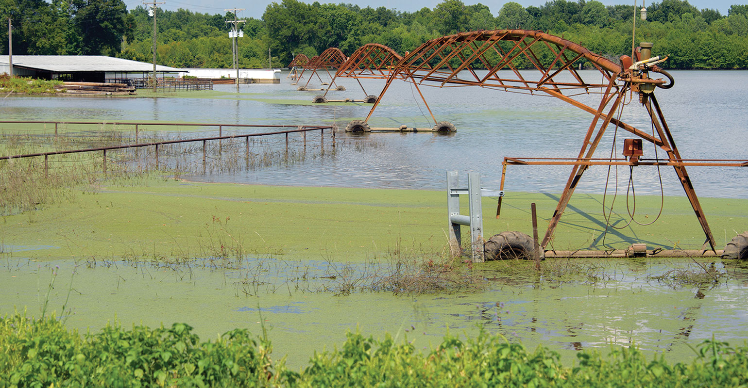 Survey focuses on 2019 Delta backwater flood