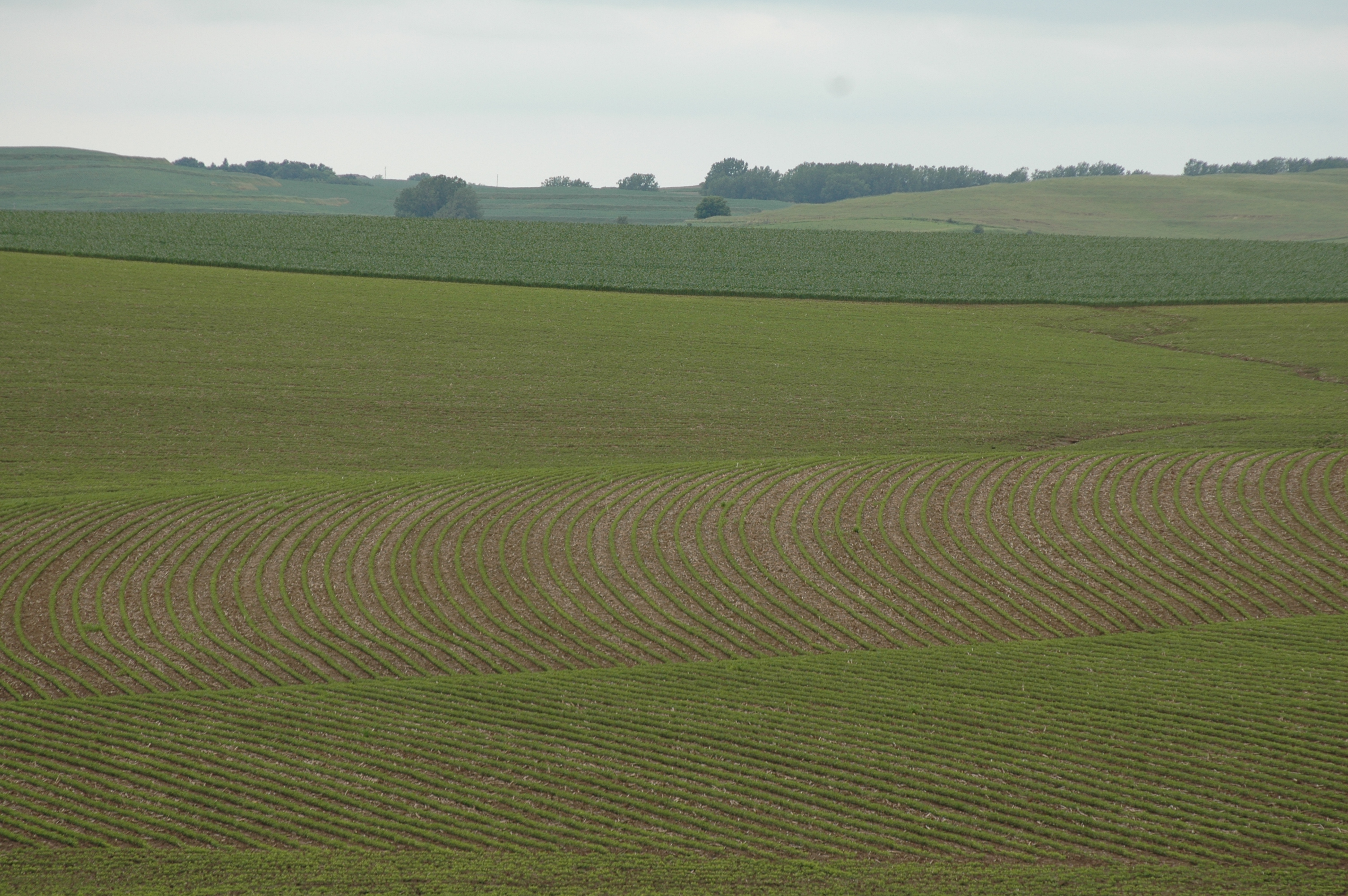 Capture LFR insecticide from FMC expands label for soybean growers ...