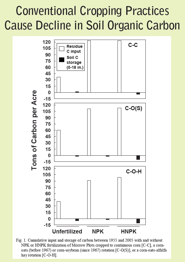 Nitrogen fertilizer reduces soil organic matter