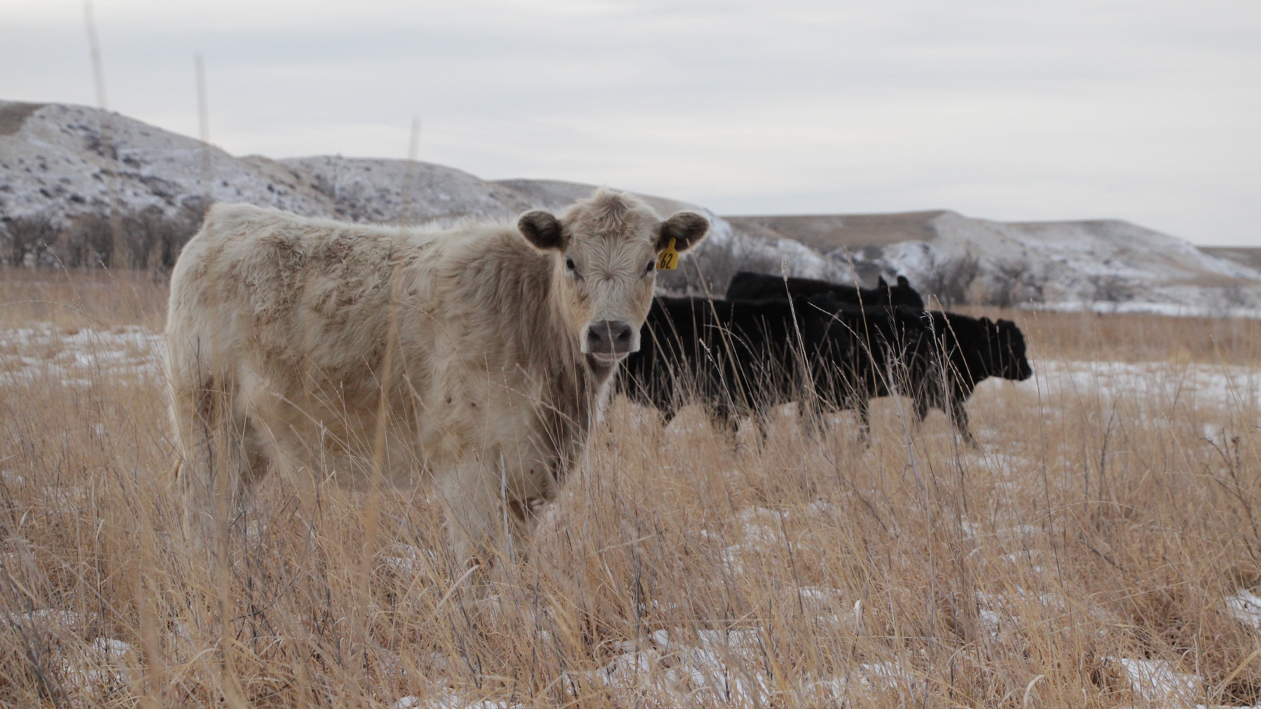 Building Minnesota’s ag weather network