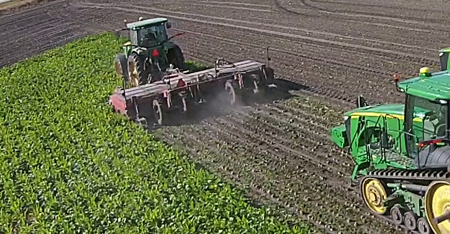 New sugarbeet defoliator allows on-the-go flail adjustment