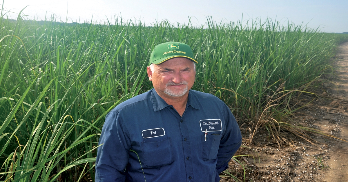 Sugarcane/soybeans a good rotation partner for Ted Broussard | Farm ...