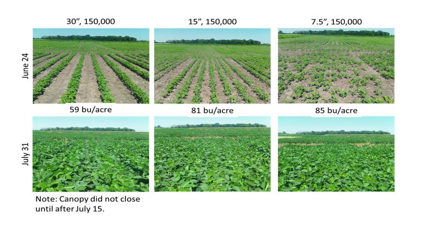 Soybean planting date, seeding rate, and row width