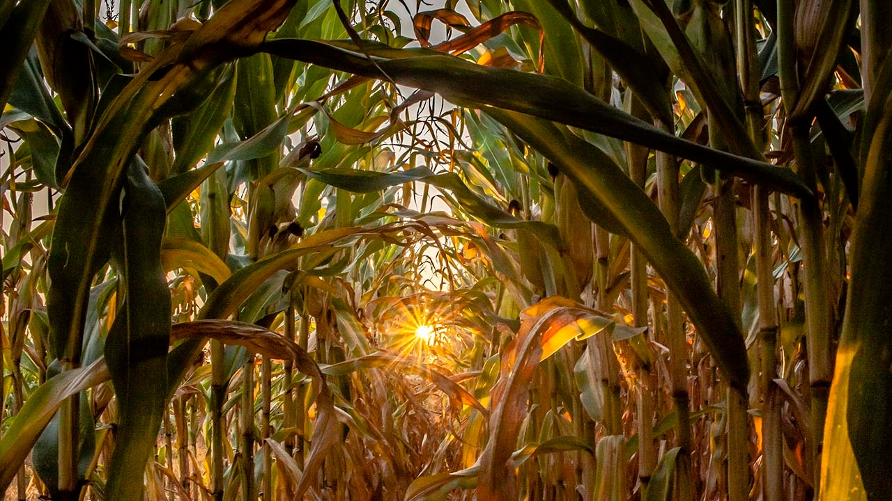 S3 AWS Airbar releases new Flow Dynamics