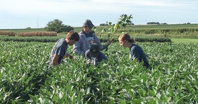 Crop scouts in the making
