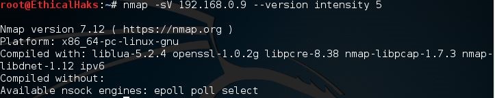 Nmap Tutorial: Common Commands