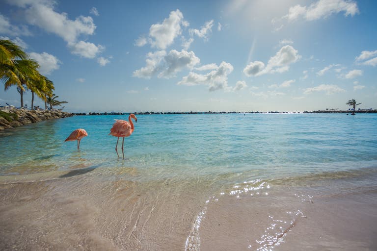 Aruba Sehenswürdigkeiten Top 10 | DERTOUR