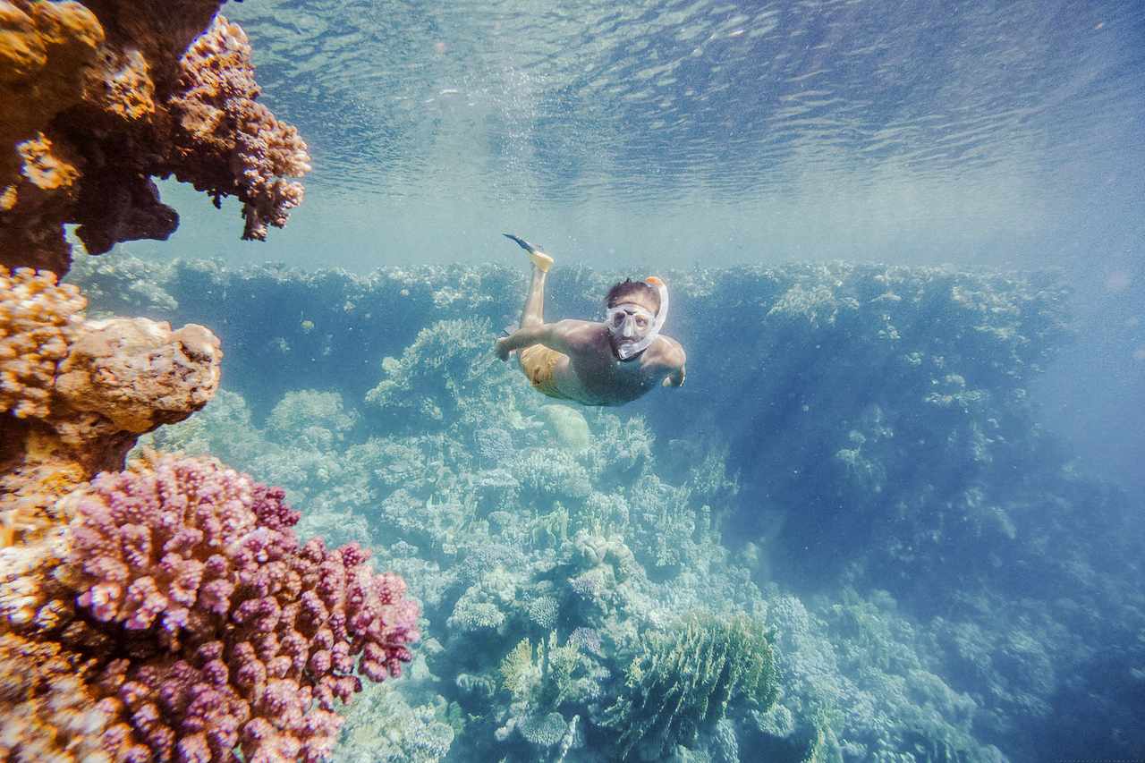 Malediven: Schnorcheln der Extraklasse | DERTOUR