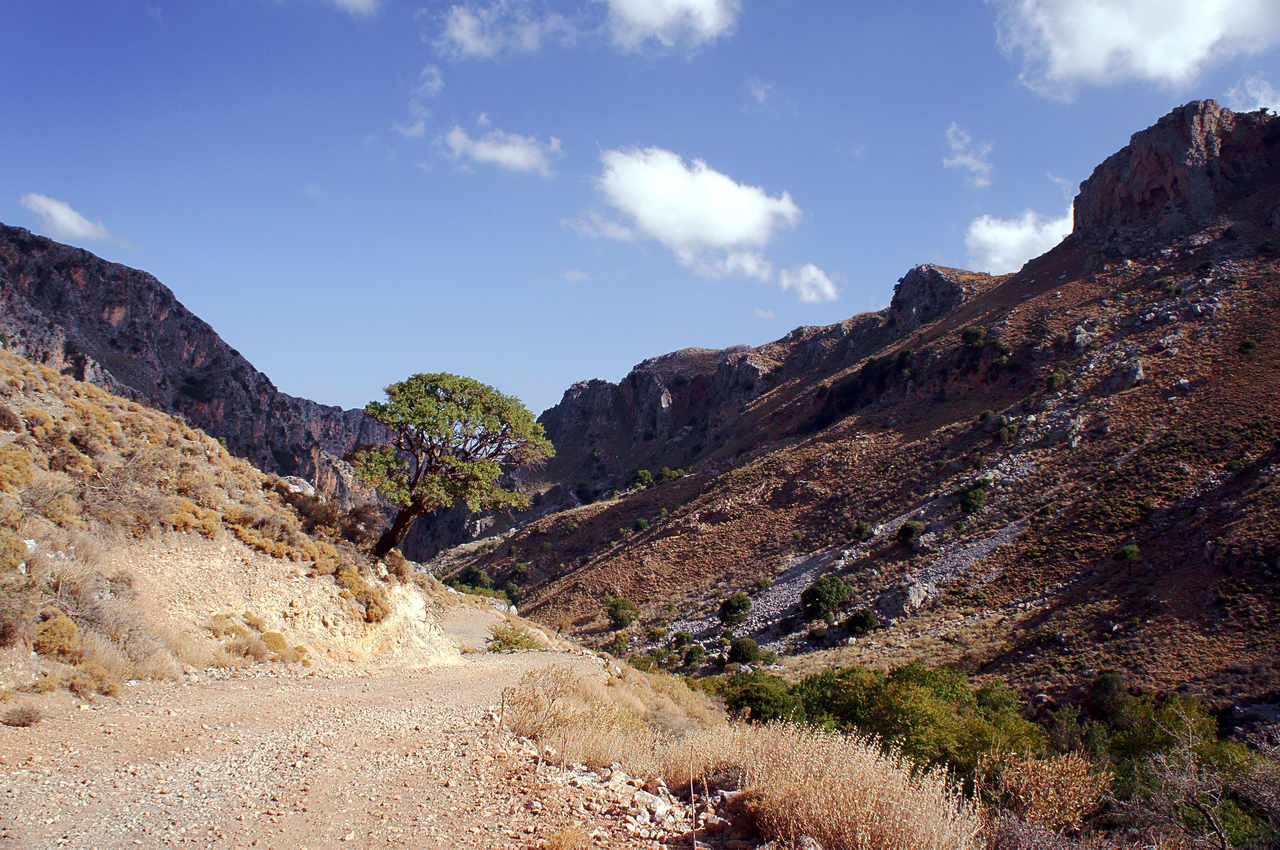 Schönste Schluchten: Kreta entdecken | DERTOUR