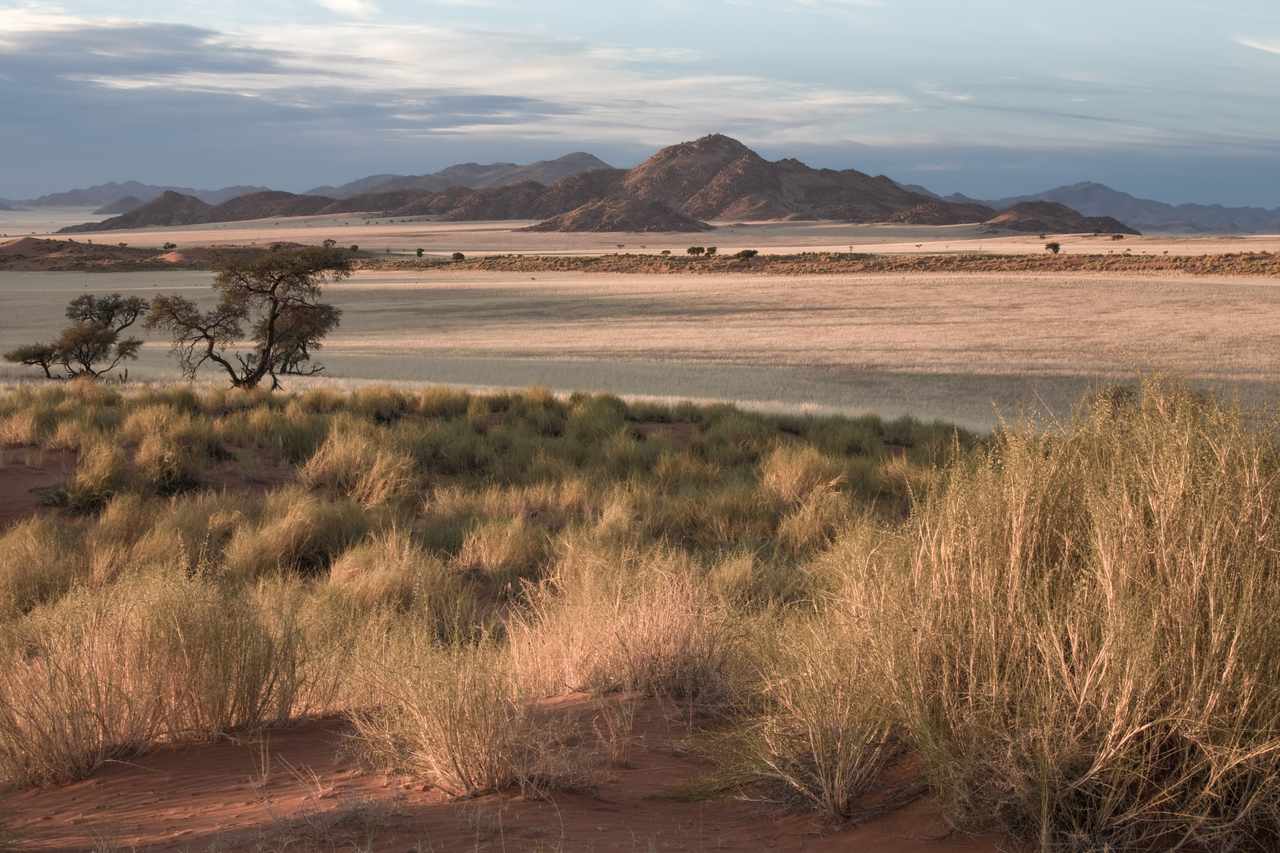 Namibia Beste Reisezeit Und Impfungen