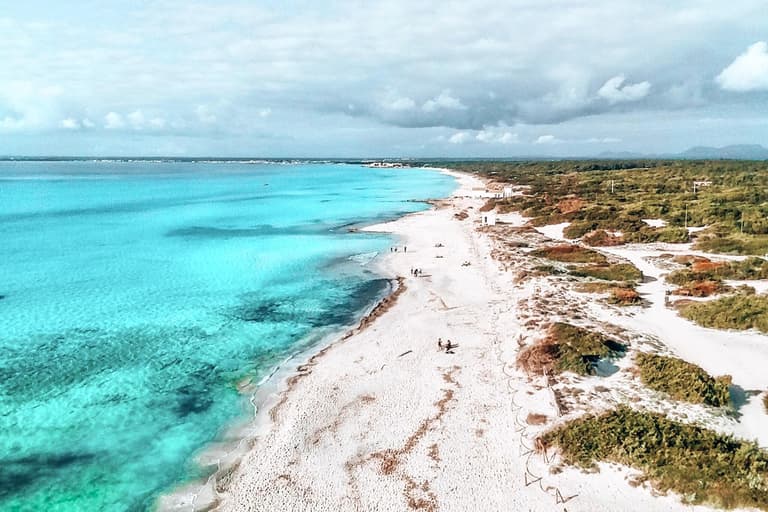 Es Trenc: Strand mit karibischem Flair | DERTOUR