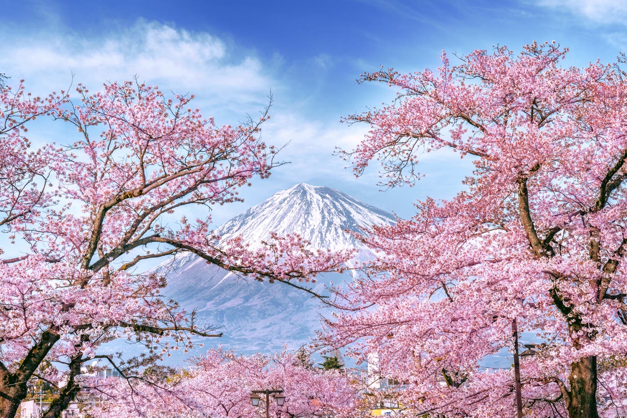 Japan beste Reisezeit: Klima und Tipps | DERTOUR