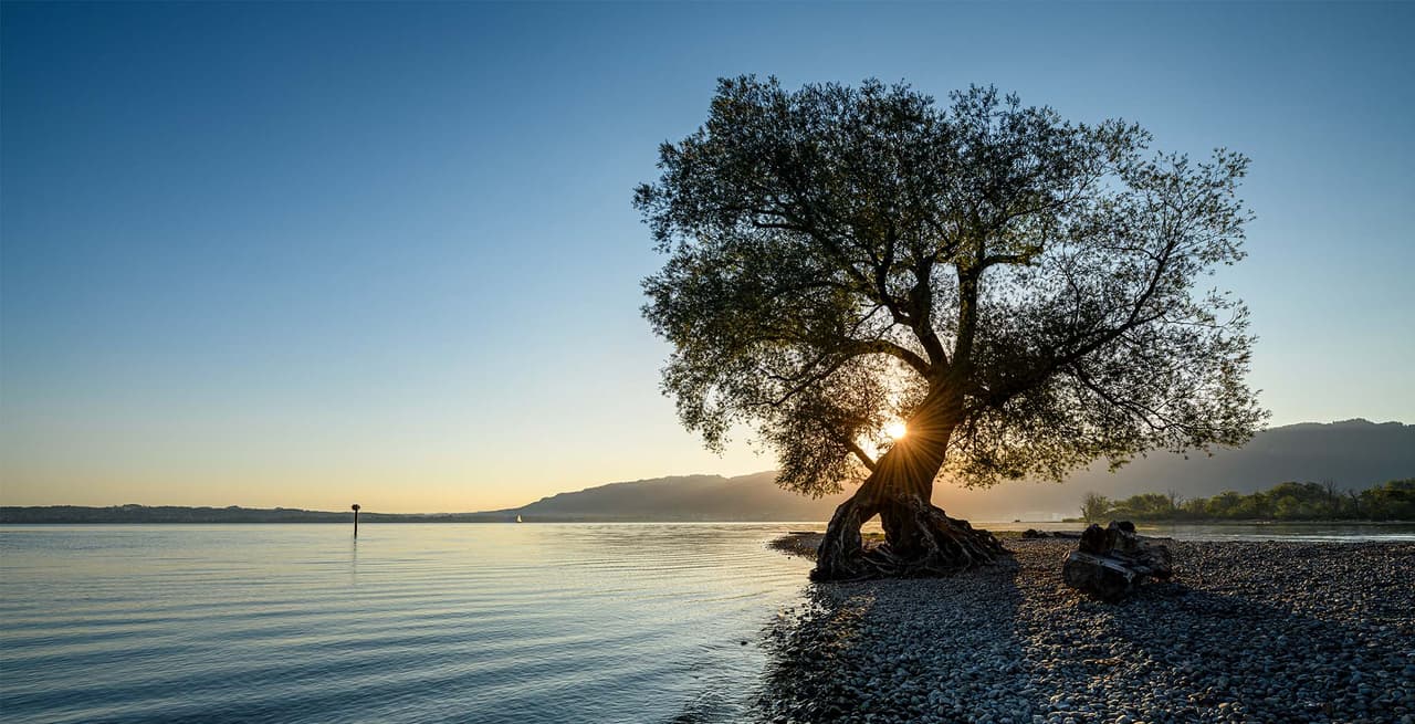 Strandbäder am Bodensee: Welcher Badetyp bist du? | DERTOUR