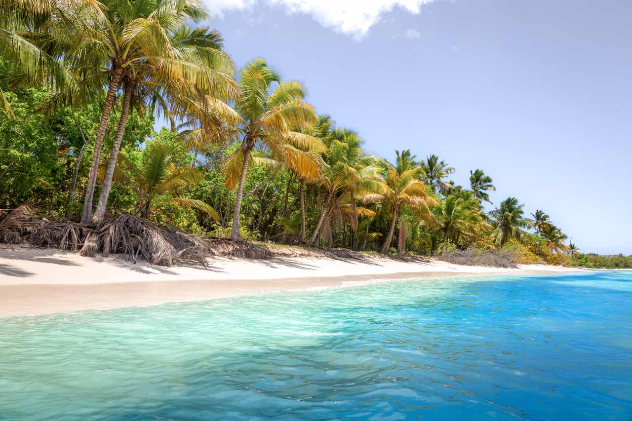 Saona Island: Nationalpark-Insel der Dom Rep | DERTOUR