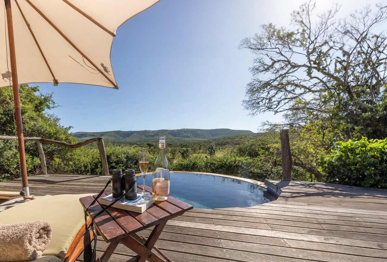 Krüger Nationalpark: Safari, Tierwelt, Übernachtung | DERTOUR