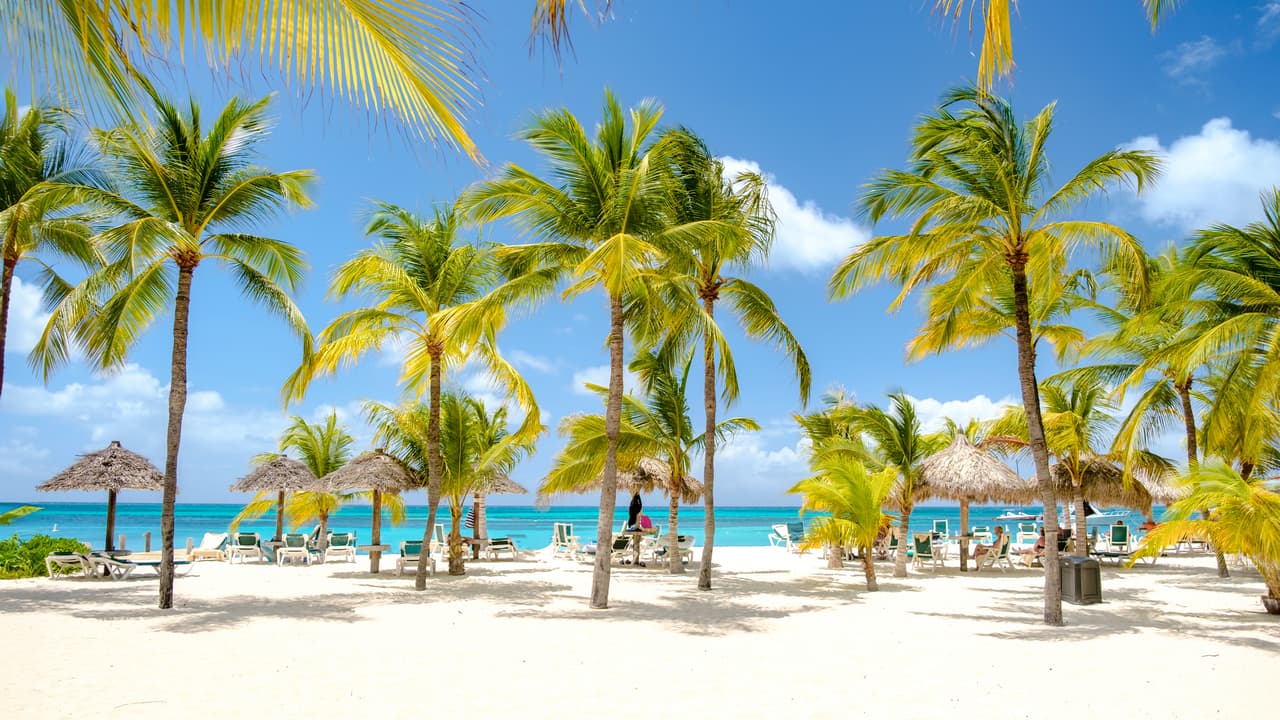 Aruba beste Reisezeit: karibische Auszeit | DERTOUR